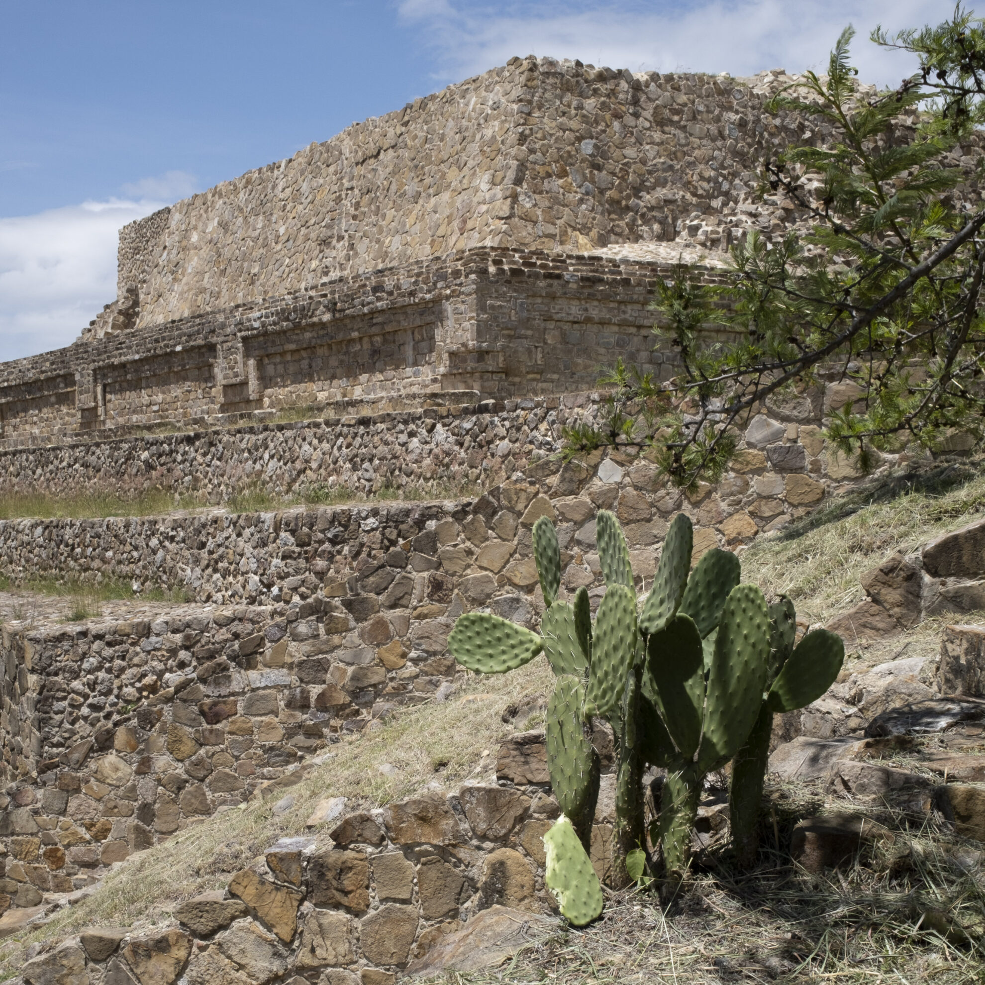 Artist in Residence: Fred Brashear – Mexicali Biennial